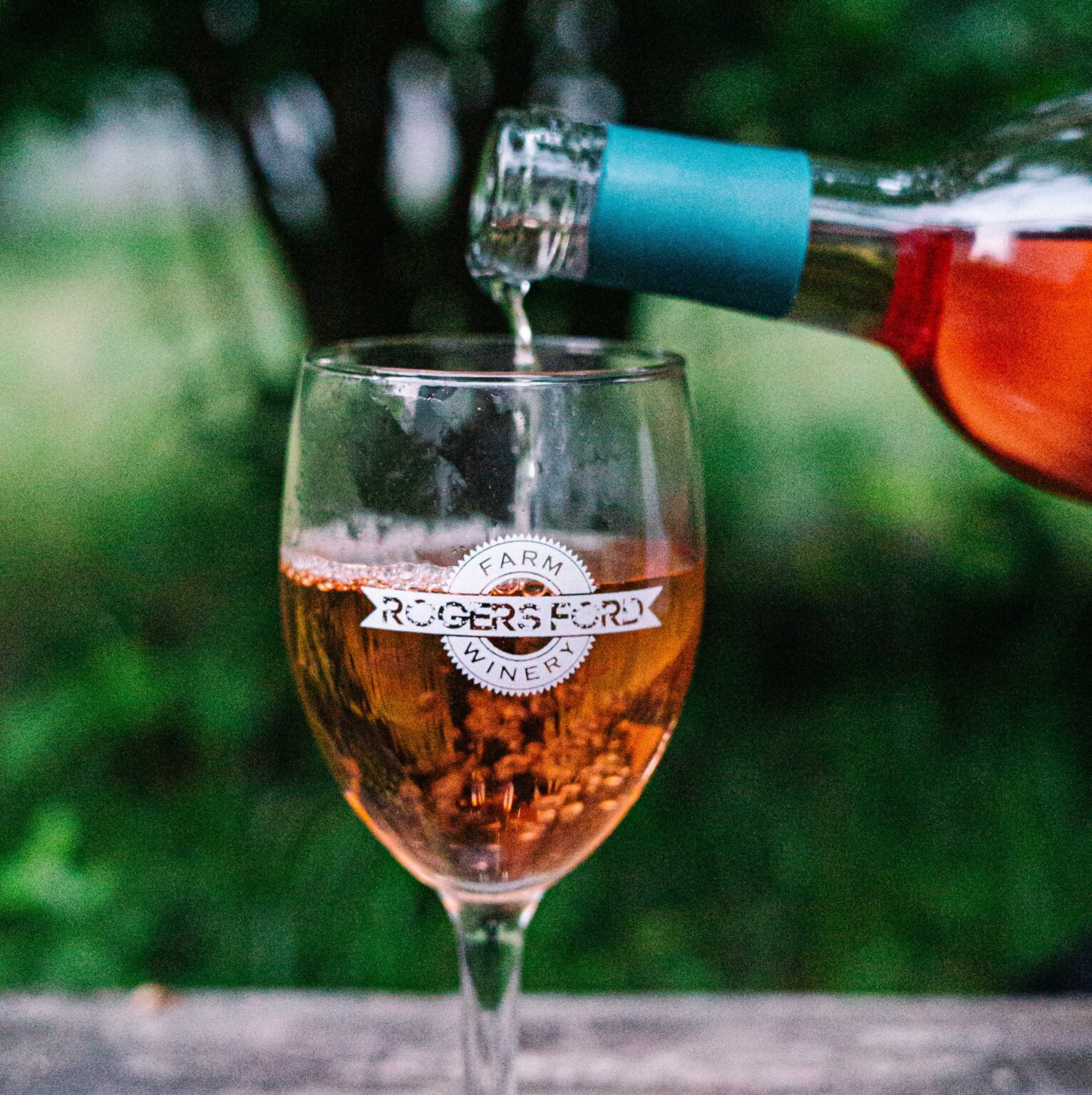 Menu – Curio Wine Bar & Tasting Room